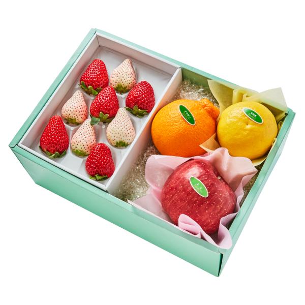 ●同梱不可商品●商品の性質上、お届けまでにお時間のかかる地域（北海道利尻郡・礼文郡、伊豆諸島青ヶ島村、小笠原諸島、島根県隠岐郡知夫村、長崎県対馬市、鹿児島県奄美市・大島郡・鹿児島郡・熊毛郡・西之表市、沖縄県石垣市・島尻郡北大東村・島尻郡久米...