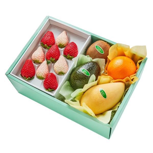 ●同梱不可商品●商品の性質上、お届けまでにお時間のかかる地域（北海道利尻郡・礼文郡、伊豆諸島青ヶ島村、小笠原諸島、島根県隠岐郡知夫村、長崎県対馬市、鹿児島県奄美市・大島郡・鹿児島郡・熊毛郡・西之表市、沖縄県石垣市・島尻郡北大東村・島尻郡久米...