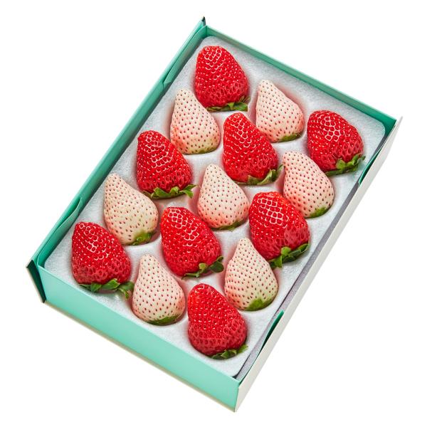 ●同梱不可商品●商品の性質上、お届けまでにお時間のかかる地域（北海道利尻郡・礼文郡、伊豆諸島青ヶ島村、小笠原諸島、島根県隠岐郡知夫村、長崎県対馬市、鹿児島県奄美市・大島郡・鹿児島郡・熊毛郡・西之表市、沖縄県石垣市・島尻郡北大東村・島尻郡久米...