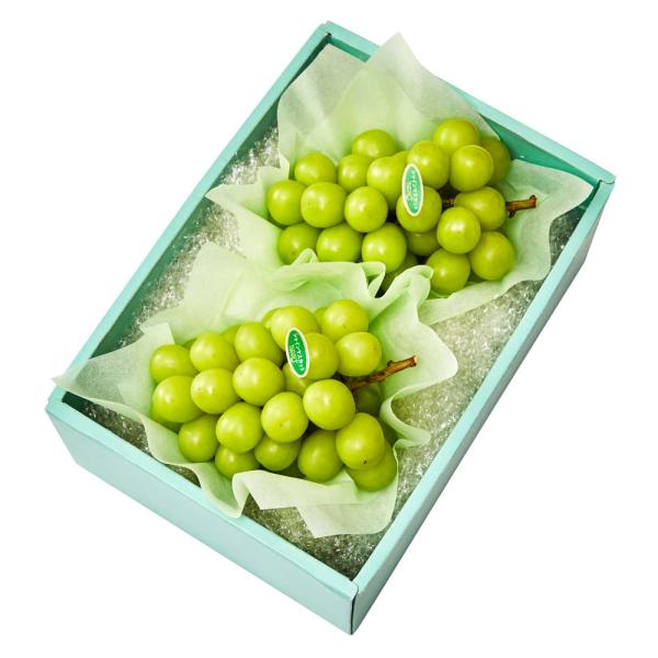 ●同梱不可商品●商品の性質上、お届けまでにお時間のかかる地域（北海道利尻郡・礼文郡、伊豆諸島青ヶ島村、小笠原諸島、島根県隠岐郡知夫村、長崎県対馬市、鹿児島県奄美市・大島郡・鹿児島郡・熊毛郡・西之表市、沖縄県石垣市・島尻郡北大東村・島尻郡久米...