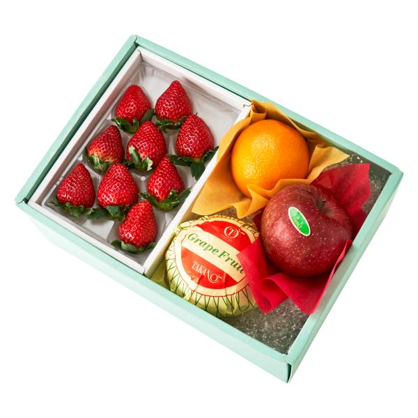 ●同梱不可商品●商品の性質上、お届けまでにお時間のかかる地域（北海道利尻郡・礼文郡、伊豆諸島青ヶ島村、小笠原諸島、島根県隠岐郡知夫村、長崎県対馬市、鹿児島県奄美市・大島郡・鹿児島郡・熊毛郡・西之表市、沖縄県石垣市・島尻郡北大東村・島尻郡久米...