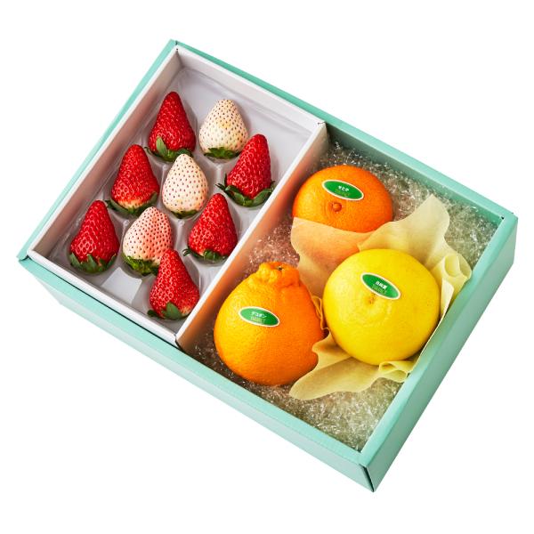 ●同梱不可商品●商品の性質上、お届けまでにお時間のかかる地域（北海道利尻郡・礼文郡、伊豆諸島青ヶ島村、小笠原諸島、島根県隠岐郡知夫村、長崎県対馬市、鹿児島県奄美市・大島郡・鹿児島郡・熊毛郡・西之表市、沖縄県石垣市・島尻郡北大東村・島尻郡久米...