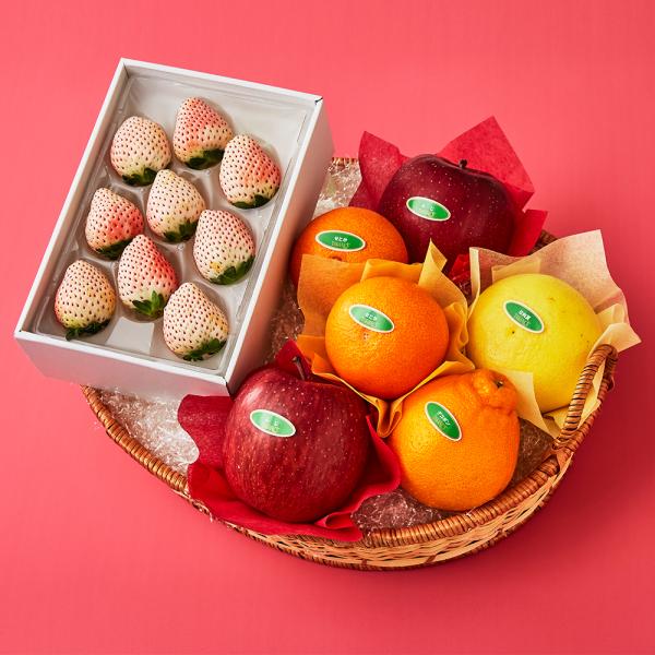 ●同梱不可商品●商品の性質上、お届けまでにお時間のかかる地域（北海道利尻郡・礼文郡、伊豆諸島青ヶ島村、小笠原諸島、島根県隠岐郡知夫村、長崎県対馬市、鹿児島県奄美市・大島郡・鹿児島郡・熊毛郡・西之表市、沖縄県石垣市・島尻郡北大東村・島尻郡久米...