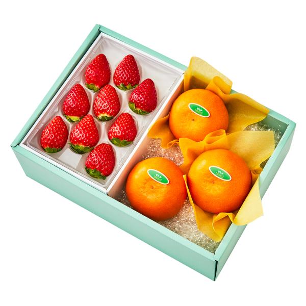 ●同梱不可商品●商品の性質上、お届けまでにお時間のかかる地域（北海道利尻郡・礼文郡、伊豆諸島青ヶ島村、小笠原諸島、島根県隠岐郡知夫村、長崎県対馬市、鹿児島県奄美市・大島郡・鹿児島郡・熊毛郡・西之表市、沖縄県石垣市・島尻郡北大東村・島尻郡久米...