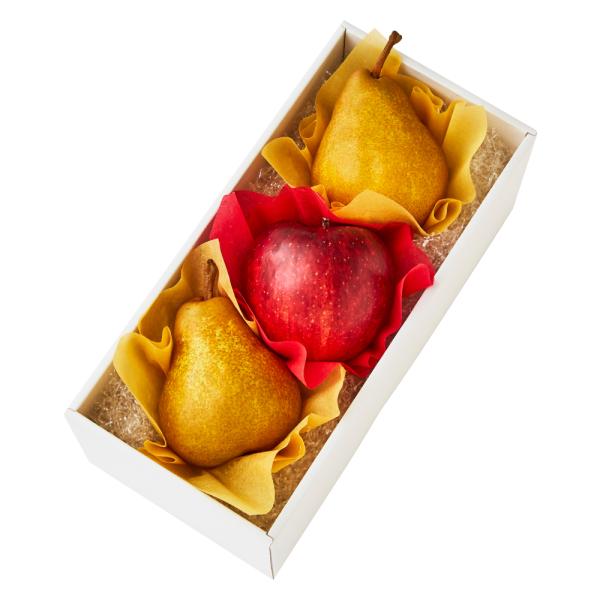 ●同梱不可商品 ●商品の性質上、お届けまでにお時間のかかる地域（北海道利尻郡・礼文郡、伊豆諸島青ヶ島村、小笠原諸島、島根県隠岐郡知夫村、長崎県対馬市、鹿児島県奄美市・大島郡・鹿児島郡・熊毛郡・西之表市、沖縄県石垣市・島尻郡北大東村・島尻郡久...