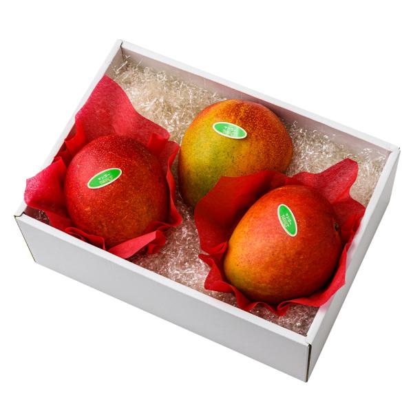 ●同梱不可商品●商品の性質上、お届けまでにお時間のかかる地域（北海道利尻郡・礼文郡、伊豆諸島青ヶ島村、小笠原諸島、島根県隠岐郡知夫村、長崎県対馬市、鹿児島県奄美市・大島郡・鹿児島郡・熊毛郡・西之表市、沖縄県石垣市・島尻郡北大東村・島尻郡久米...