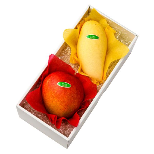 ●同梱不可商品●商品の性質上、お届けまでにお時間のかかる地域（北海道利尻郡・礼文郡、伊豆諸島青ヶ島村、小笠原諸島、島根県隠岐郡知夫村、長崎県対馬市、鹿児島県奄美市・大島郡・鹿児島郡・熊毛郡・西之表市、沖縄県石垣市・島尻郡北大東村・島尻郡久米...