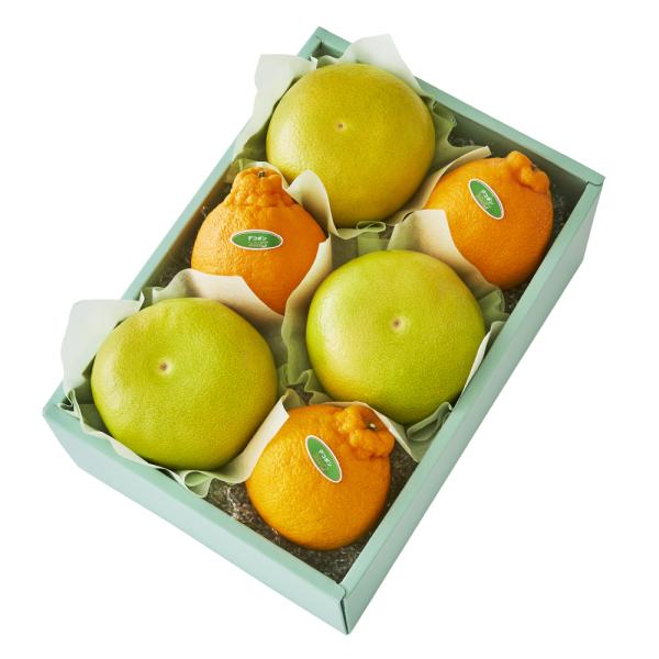 ●同梱不可商品●商品の性質上、お届けまでにお時間のかかる地域（北海道利尻郡・礼文郡、伊豆諸島青ヶ島村、小笠原諸島、島根県隠岐郡知夫村、長崎県対馬市、鹿児島県奄美市・大島郡・鹿児島郡・熊毛郡・西之表市、沖縄県石垣市・島尻郡北大東村・島尻郡久米...