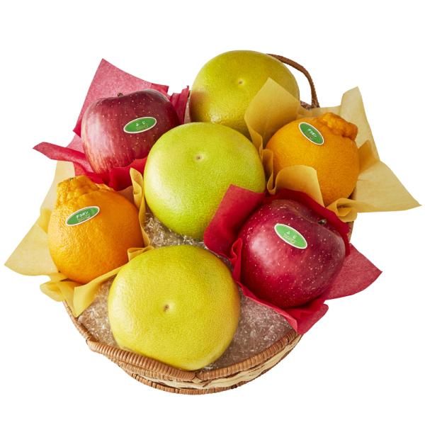 ●同梱不可商品●商品の性質上、お届けまでにお時間のかかる地域（北海道利尻郡・礼文郡、伊豆諸島青ヶ島村、小笠原諸島、島根県隠岐郡知夫村、長崎県対馬市、鹿児島県奄美市・大島郡・鹿児島郡・熊毛郡・西之表市、沖縄県石垣市・島尻郡北大東村・島尻郡久米...