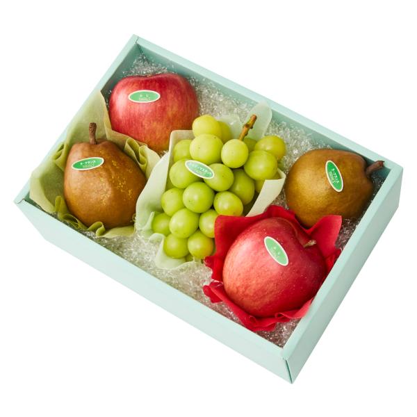 ●同梱不可商品●商品の性質上、お届けまでにお時間のかかる地域（北海道利尻郡・礼文郡、伊豆諸島青ヶ島村、小笠原諸島、島根県隠岐郡知夫村、長崎県対馬市、鹿児島県奄美市・大島郡・鹿児島郡・熊毛郡・西之表市、沖縄県石垣市・島尻郡北大東村・島尻郡久米...