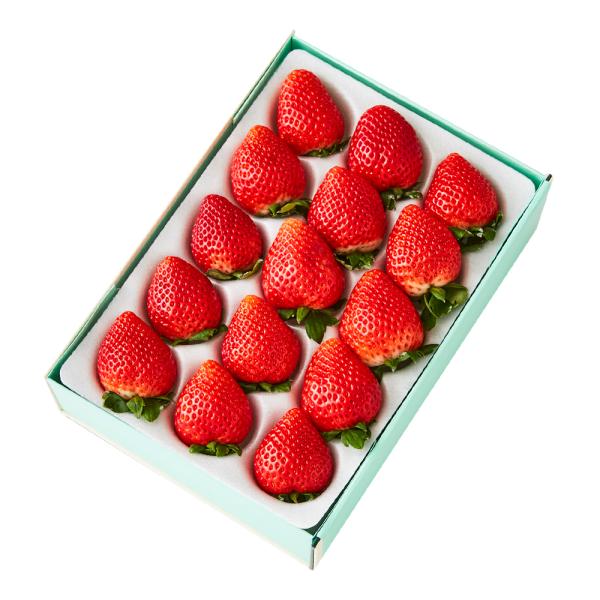 ●同梱不可商品●商品の性質上、お届けまでにお時間のかかる地域（北海道利尻郡・礼文郡、伊豆諸島青ヶ島村、小笠原諸島、島根県隠岐郡知夫村、長崎県対馬市、鹿児島県奄美市・大島郡・鹿児島郡・熊毛郡・西之表市、沖縄県石垣市・島尻郡北大東村・島尻郡久米...