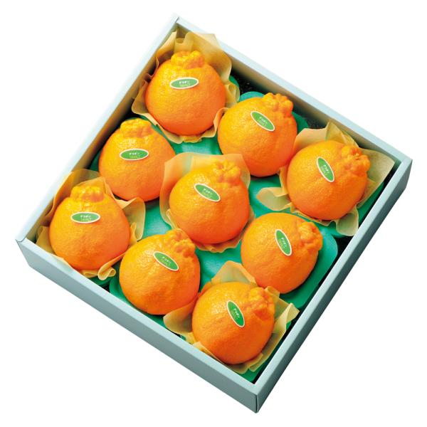 ●同梱不可商品●商品の性質上、お届けまでにお時間のかかる地域（北海道利尻郡・礼文郡、伊豆諸島青ヶ島村、小笠原諸島、島根県隠岐郡知夫村、長崎県対馬市、鹿児島県奄美市・大島郡・鹿児島郡・熊毛郡・西之表市、沖縄県石垣市・島尻郡北大東村・島尻郡久米...