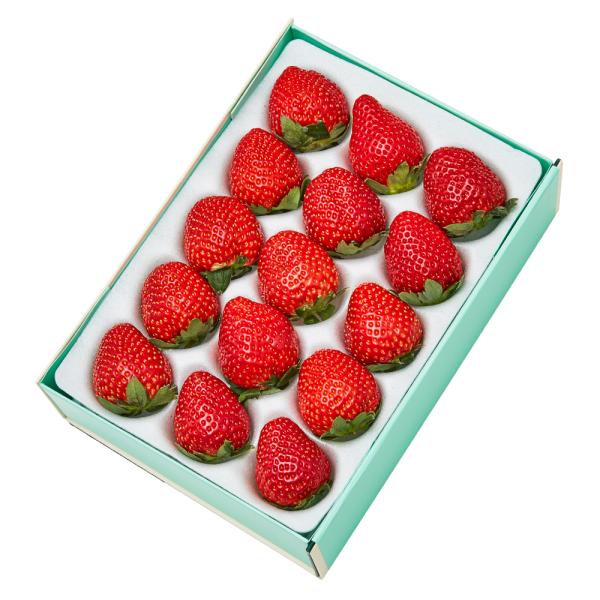 ●同梱不可商品●商品の性質上、お届けまでにお時間のかかる地域（北海道利尻郡・礼文郡、伊豆諸島青ヶ島村、小笠原諸島、島根県隠岐郡知夫村、長崎県対馬市、鹿児島県奄美市・大島郡・鹿児島郡・熊毛郡・西之表市、沖縄県石垣市・島尻郡北大東村・島尻郡久米...