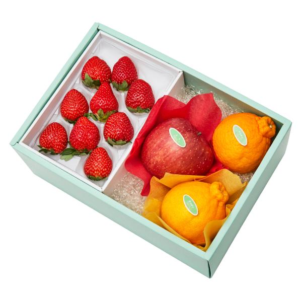 ●同梱不可商品●商品の性質上、お届けまでにお時間のかかる地域（北海道利尻郡・礼文郡、伊豆諸島青ヶ島村、小笠原諸島、島根県隠岐郡知夫村、長崎県対馬市、鹿児島県奄美市・大島郡・鹿児島郡・熊毛郡・西之表市、沖縄県石垣市・島尻郡北大東村・島尻郡久米...