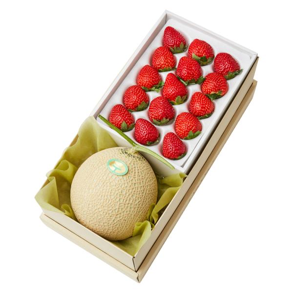 ●同梱不可商品●商品の性質上、お届けまでにお時間のかかる地域（北海道利尻郡・礼文郡、伊豆諸島青ヶ島村、小笠原諸島、島根県隠岐郡知夫村、長崎県対馬市、鹿児島県奄美市・大島郡・鹿児島郡・熊毛郡・西之表市、沖縄県石垣市・島尻郡北大東村・島尻郡久米...