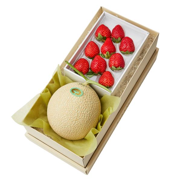 ●同梱不可商品●商品の性質上、お届けまでにお時間のかかる地域（北海道利尻郡・礼文郡、伊豆諸島青ヶ島村、小笠原諸島、島根県隠岐郡知夫村、長崎県対馬市、鹿児島県奄美市・大島郡・鹿児島郡・熊毛郡・西之表市、沖縄県石垣市・島尻郡北大東村・島尻郡久米...