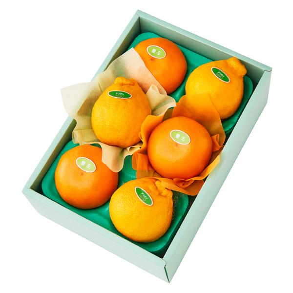 ●同梱不可商品●商品の性質上、お届けまでにお時間のかかる地域（北海道利尻郡・礼文郡、伊豆諸島青ヶ島村、小笠原諸島、島根県隠岐郡知夫村、長崎県対馬市、鹿児島県奄美市・大島郡・鹿児島郡・熊毛郡・西之表市、沖縄県石垣市・島尻郡北大東村・島尻郡久米...