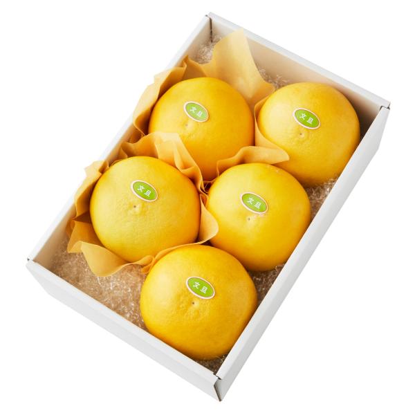 ●同梱不可商品●商品の性質上、お届けまでにお時間のかかる地域（北海道利尻郡・礼文郡、伊豆諸島青ヶ島村、小笠原諸島、島根県隠岐郡知夫村、長崎県対馬市、鹿児島県奄美市・大島郡・鹿児島郡・熊毛郡・西之表市、沖縄県石垣市・島尻郡北大東村・島尻郡久米...