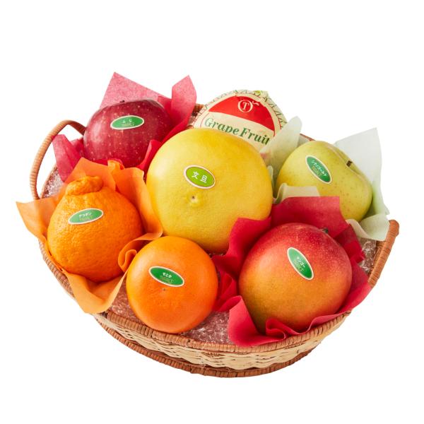 ●同梱不可商品●商品の性質上、お届けまでにお時間のかかる地域（北海道利尻郡・礼文郡、伊豆諸島青ヶ島村、小笠原諸島、島根県隠岐郡知夫村、長崎県対馬市、鹿児島県奄美市・大島郡・鹿児島郡・熊毛郡・西之表市、沖縄県石垣市・島尻郡北大東村・島尻郡久米...