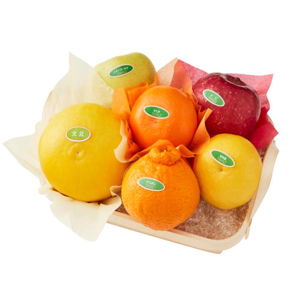 ●同梱不可商品●商品の性質上、お届けまでにお時間のかかる地域（北海道利尻郡・礼文郡、伊豆諸島青ヶ島村、小笠原諸島、島根県隠岐郡知夫村、長崎県対馬市、鹿児島県奄美市・大島郡・鹿児島郡・熊毛郡・西之表市、沖縄県石垣市・島尻郡北大東村・島尻郡久米...