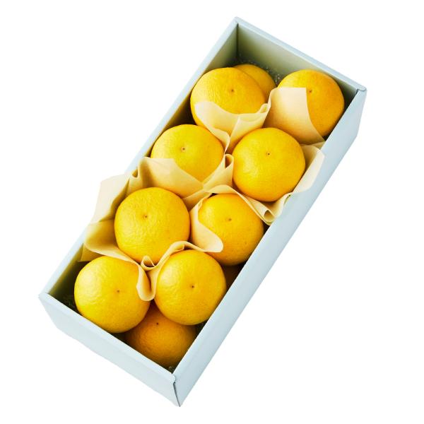 ●同梱不可商品●商品の性質上、お届けまでにお時間のかかる地域（北海道利尻郡・礼文郡、伊豆諸島青ヶ島村、小笠原諸島、島根県隠岐郡知夫村、長崎県対馬市、鹿児島県奄美市・大島郡・鹿児島郡・熊毛郡・西之表市、沖縄県石垣市・島尻郡北大東村・島尻郡久米...