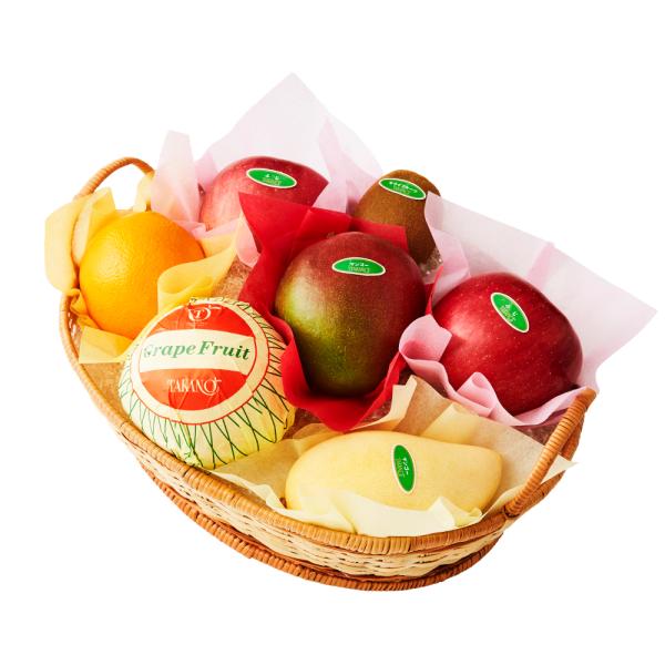 ●同梱不可商品●商品の性質上、お届けまでにお時間のかかる地域（北海道利尻郡・礼文郡、伊豆諸島青ヶ島村、小笠原諸島、島根県隠岐郡知夫村、長崎県対馬市、鹿児島県奄美市・大島郡・鹿児島郡・熊毛郡・西之表市、沖縄県石垣市・島尻郡北大東村・島尻郡久米...