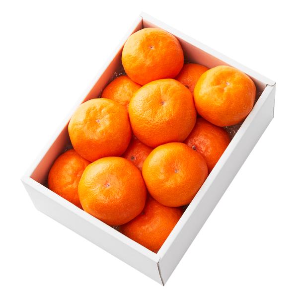 ●同梱不可商品●商品の性質上、お届けまでにお時間のかかる地域（北海道利尻郡・礼文郡、伊豆諸島青ヶ島村、小笠原諸島、島根県隠岐郡知夫村、長崎県対馬市、鹿児島県奄美市・大島郡・鹿児島郡・熊毛郡・西之表市、沖縄県石垣市・島尻郡北大東村・島尻郡久米...