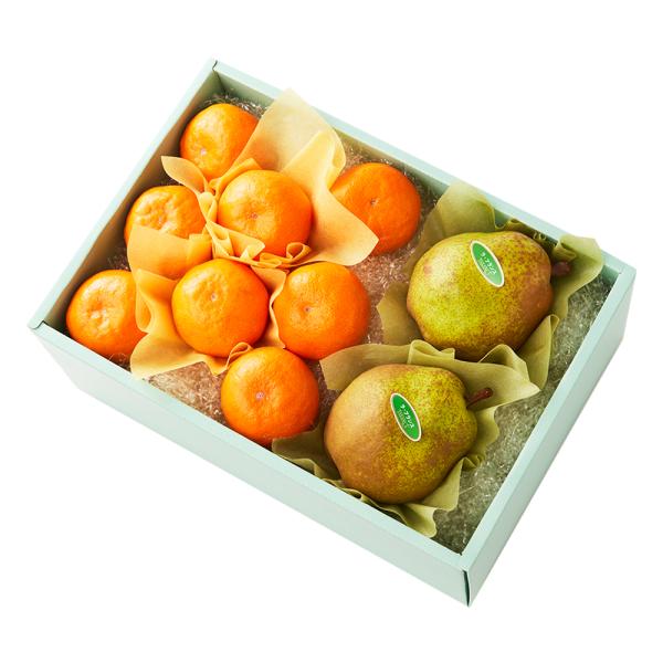 ●同梱不可商品●商品の性質上、お届けまでにお時間のかかる地域（北海道利尻郡・礼文郡、伊豆諸島青ヶ島村、小笠原諸島、島根県隠岐郡知夫村、長崎県対馬市、鹿児島県奄美市・大島郡・鹿児島郡・熊毛郡・西之表市、沖縄県石垣市・島尻郡北大東村・島尻郡久米...