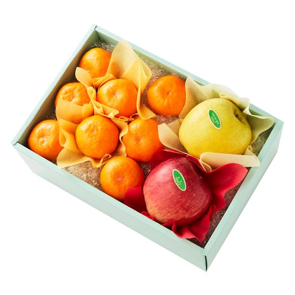 ●同梱不可商品●商品の性質上、お届けまでにお時間のかかる地域（北海道利尻郡・礼文郡、伊豆諸島青ヶ島村、小笠原諸島、島根県隠岐郡知夫村、長崎県対馬市、鹿児島県奄美市・大島郡・鹿児島郡・熊毛郡・西之表市、沖縄県石垣市・島尻郡北大東村・島尻郡久米...