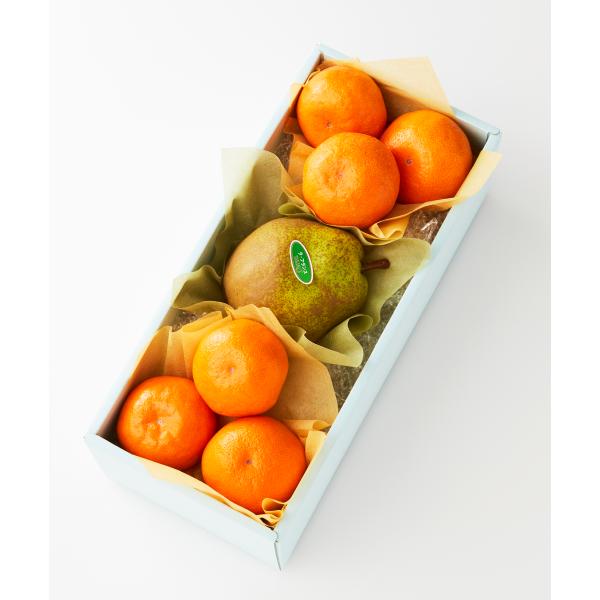 ●同梱不可商品●商品の性質上、お届けまでにお時間のかかる地域（北海道利尻郡・礼文郡、伊豆諸島青ヶ島村、小笠原諸島、島根県隠岐郡知夫村、長崎県対馬市、鹿児島県奄美市・大島郡・鹿児島郡・熊毛郡・西之表市、沖縄県石垣市・島尻郡北大東村・島尻郡久米...