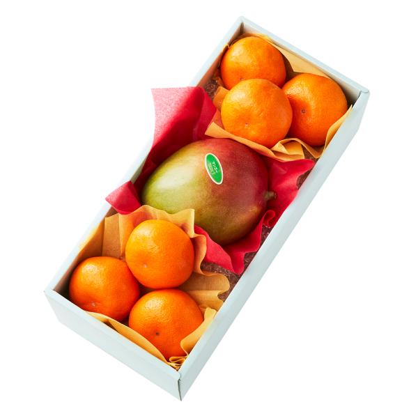 ●同梱不可商品●商品の性質上、お届けまでにお時間のかかる地域（北海道利尻郡・礼文郡、伊豆諸島青ヶ島村、小笠原諸島、島根県隠岐郡知夫村、長崎県対馬市、鹿児島県奄美市・大島郡・鹿児島郡・熊毛郡・西之表市、沖縄県石垣市・島尻郡北大東村・島尻郡久米...