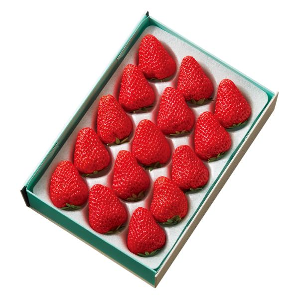 ●同梱不可商品●商品の性質上、お届けまでにお時間のかかる地域（北海道利尻郡・礼文郡、伊豆諸島青ヶ島村、小笠原諸島、島根県隠岐郡知夫村、長崎県対馬市、鹿児島県奄美市・大島郡・鹿児島郡・熊毛郡・西之表市、沖縄県石垣市・島尻郡北大東村・島尻郡久米...