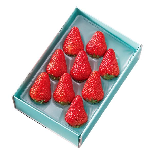 ●同梱不可商品●商品の性質上、お届けまでにお時間のかかる地域（北海道利尻郡・礼文郡、伊豆諸島青ヶ島村、小笠原諸島、島根県隠岐郡知夫村、長崎県対馬市、鹿児島県奄美市・大島郡・鹿児島郡・熊毛郡・西之表市、沖縄県石垣市・島尻郡北大東村・島尻郡久米...