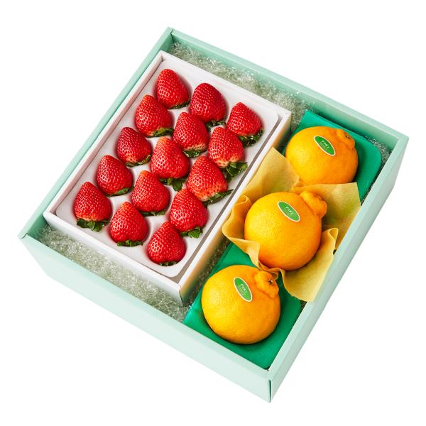 ●同梱不可商品●商品の性質上、お届けまでにお時間のかかる地域（北海道利尻郡・礼文郡、伊豆諸島青ヶ島村、小笠原諸島、島根県隠岐郡知夫村、長崎県対馬市、鹿児島県奄美市・大島郡・鹿児島郡・熊毛郡・西之表市、沖縄県石垣市・島尻郡北大東村・島尻郡久米...