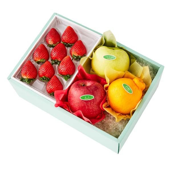 ●同梱不可商品●商品の性質上、お届けまでにお時間のかかる地域（北海道利尻郡・礼文郡、伊豆諸島青ヶ島村、小笠原諸島、島根県隠岐郡知夫村、長崎県対馬市、鹿児島県奄美市・大島郡・鹿児島郡・熊毛郡・西之表市、沖縄県石垣市・島尻郡北大東村・島尻郡久米...