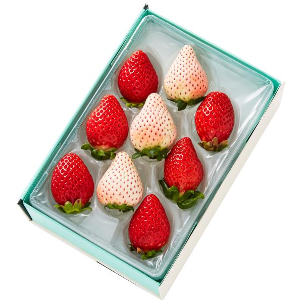 ●同梱不可商品●商品の性質上、お届けまでにお時間のかかる地域（北海道利尻郡、北海道礼文島、伊豆諸島青ヶ島村、小笠原諸島、長崎県対馬市、鹿児島県奄美市、鹿児島県大島郡、沖縄県宮古郡、沖縄県八重山郡）へのお届けはお受けできません。※東京より発送...