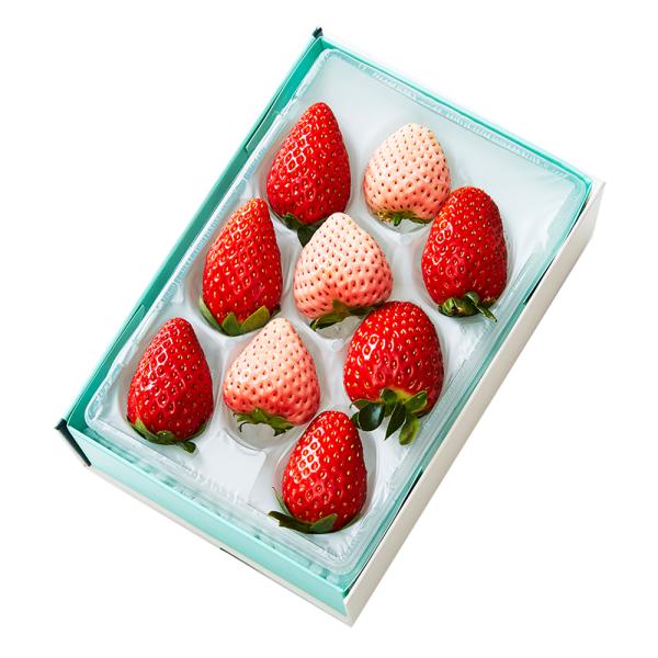 ●同梱不可商品●商品の性質上、お届けまでにお時間のかかる地域（北海道利尻郡、北海道礼文島、伊豆諸島青ヶ島村、小笠原諸島、長崎県対馬市、鹿児島県奄美市、鹿児島県大島郡、沖縄県宮古郡、沖縄県八重山郡）へのお届けはお受けできません。※東京より発送...