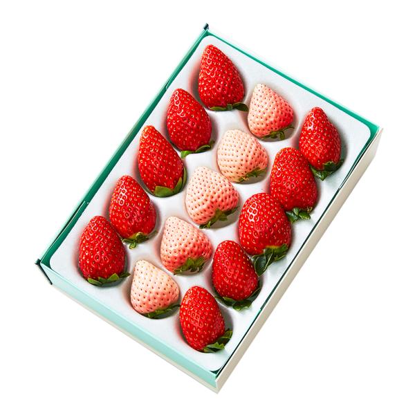 ●同梱不可商品●商品の性質上、お届けまでにお時間のかかる地域（北海道利尻郡、北海道礼文島、伊豆諸島青ヶ島村、小笠原諸島、長崎県対馬市、鹿児島県奄美市、鹿児島県大島郡、沖縄県宮古郡、沖縄県八重山郡）へのお届けはお受けできません。※東京より発送...