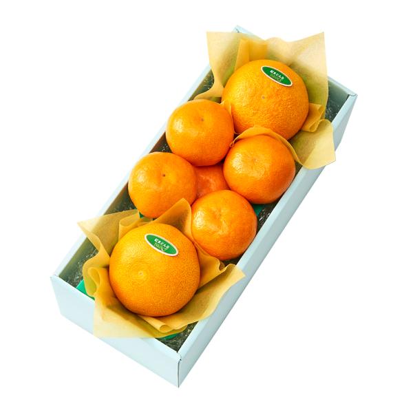 ●同梱不可商品●商品の性質上、お届けまでにお時間のかかる地域（北海道利尻郡・礼文郡、伊豆諸島青ヶ島村、小笠原諸島、島根県隠岐郡知夫村、長崎県対馬市、鹿児島県奄美市・大島郡・鹿児島郡・熊毛郡・西之表市、沖縄県石垣市・島尻郡北大東村・島尻郡久米...