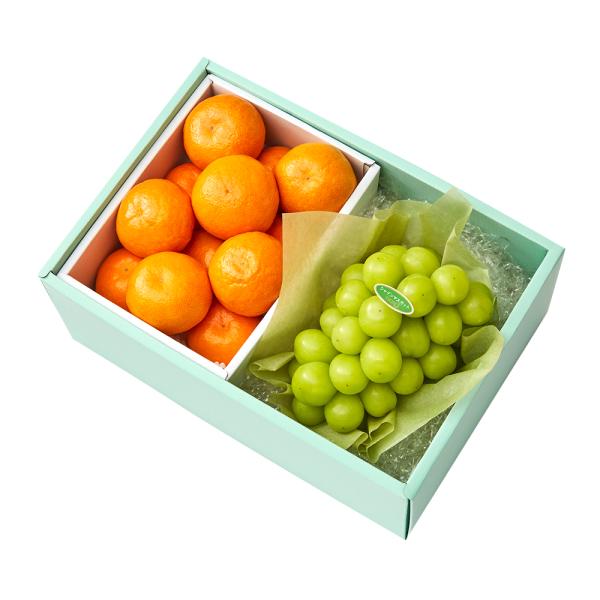 ●同梱不可商品●商品の性質上、お届けまでにお時間のかかる地域（北海道利尻郡・礼文郡、伊豆諸島青ヶ島村、小笠原諸島、島根県隠岐郡知夫村、長崎県対馬市、鹿児島県奄美市・大島郡・鹿児島郡・熊毛郡・西之表市、沖縄県石垣市・島尻郡北大東村・島尻郡久米...