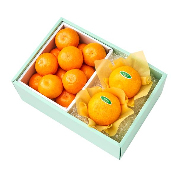 ●同梱不可商品●商品の性質上、お届けまでにお時間のかかる地域（北海道利尻郡・礼文郡、伊豆諸島青ヶ島村、小笠原諸島、島根県隠岐郡知夫村、長崎県対馬市、鹿児島県奄美市・大島郡・鹿児島郡・熊毛郡・西之表市、沖縄県石垣市・島尻郡北大東村・島尻郡久米...