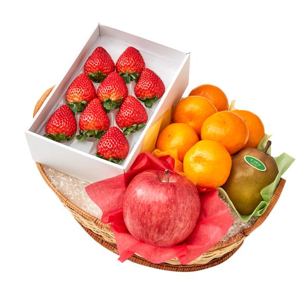 ●同梱不可商品●商品の性質上、お届けまでにお時間のかかる地域（北海道利尻郡・礼文郡、伊豆諸島青ヶ島村、小笠原諸島、島根県隠岐郡知夫村、長崎県対馬市、鹿児島県奄美市・大島郡・鹿児島郡・熊毛郡・西之表市、沖縄県石垣市・島尻郡北大東村・島尻郡久米...