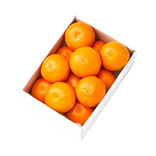 ●同梱不可商品●商品の性質上、お届けまでにお時間のかかる地域（北海道利尻郡・礼文郡、伊豆諸島青ヶ島村、小笠原諸島、島根県隠岐郡知夫村、長崎県対馬市、鹿児島県奄美市・大島郡・鹿児島郡・熊毛郡・西之表市、沖縄県石垣市・島尻郡北大東村・島尻郡久米...