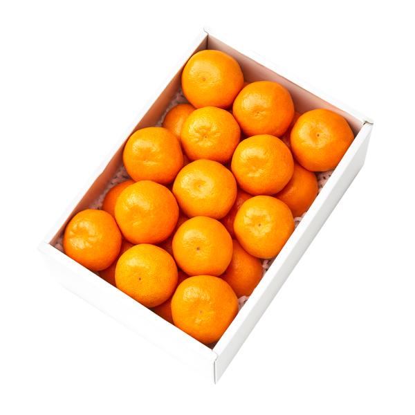 ●同梱不可商品●商品の性質上、お届けまでにお時間のかかる地域（北海道利尻郡・礼文郡、伊豆諸島青ヶ島村、小笠原諸島、島根県隠岐郡知夫村、長崎県対馬市、鹿児島県奄美市・大島郡・鹿児島郡・熊毛郡・西之表市、沖縄県石垣市・島尻郡北大東村・島尻郡久米...