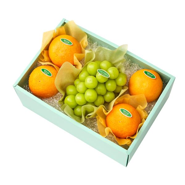 ●同梱不可商品●商品の性質上、お届けまでにお時間のかかる地域（北海道利尻郡・礼文郡、伊豆諸島青ヶ島村、小笠原諸島、島根県隠岐郡知夫村、長崎県対馬市、鹿児島県奄美市・大島郡・鹿児島郡・熊毛郡・西之表市、沖縄県石垣市・島尻郡北大東村・島尻郡久米...