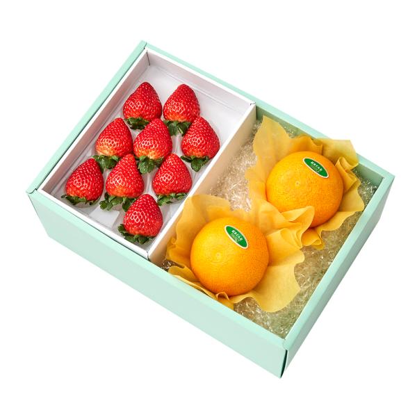 ●同梱不可商品●商品の性質上、お届けまでにお時間のかかる地域（北海道利尻郡・礼文郡、伊豆諸島青ヶ島村、小笠原諸島、島根県隠岐郡知夫村、長崎県対馬市、鹿児島県奄美市・大島郡・鹿児島郡・熊毛郡・西之表市、沖縄県石垣市・島尻郡北大東村・島尻郡久米...