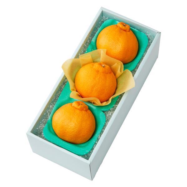 ●同梱不可商品●商品の性質上、お届けまでにお時間のかかる地域（北海道利尻郡・礼文郡、伊豆諸島青ヶ島村、小笠原諸島、島根県隠岐郡知夫村、長崎県対馬市、鹿児島県奄美市・大島郡・鹿児島郡・熊毛郡・西之表市、沖縄県石垣市・島尻郡北大東村・島尻郡久米...