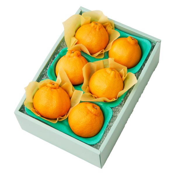 ●同梱不可商品●商品の性質上、お届けまでにお時間のかかる地域（北海道利尻郡・礼文郡、伊豆諸島青ヶ島村、小笠原諸島、島根県隠岐郡知夫村、長崎県対馬市、鹿児島県奄美市・大島郡・鹿児島郡・熊毛郡・西之表市、沖縄県石垣市・島尻郡北大東村・島尻郡久米...