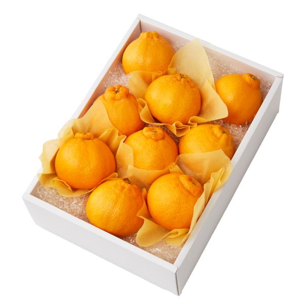 ●同梱不可商品●商品の性質上、お届けまでにお時間のかかる地域（北海道利尻郡・礼文郡、伊豆諸島青ヶ島村、小笠原諸島、島根県隠岐郡知夫村、長崎県対馬市、鹿児島県奄美市・大島郡・鹿児島郡・熊毛郡・西之表市、沖縄県石垣市・島尻郡北大東村・島尻郡久米...