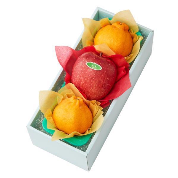 ●同梱不可商品●商品の性質上、お届けまでにお時間のかかる地域（北海道利尻郡・礼文郡、伊豆諸島青ヶ島村、小笠原諸島、島根県隠岐郡知夫村、長崎県対馬市、鹿児島県奄美市・大島郡・鹿児島郡・熊毛郡・西之表市、沖縄県石垣市・島尻郡北大東村・島尻郡久米...